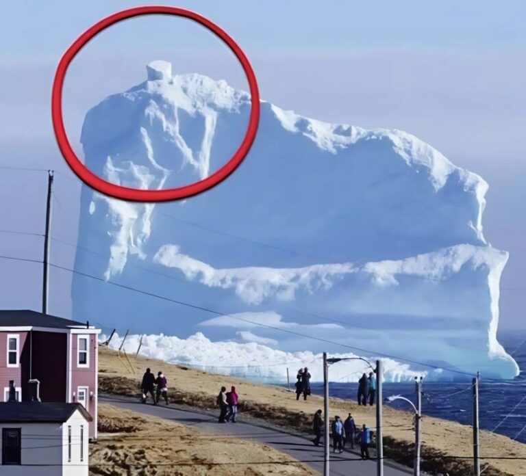 An iceberg drifts near a village, but what it carries on its surface ...