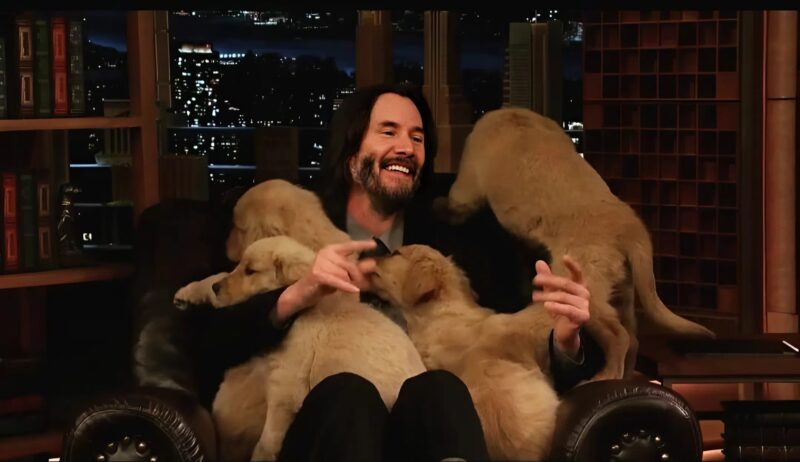 Keanu Reeves, a big-hearted hero: He creates a farm to shelter ...